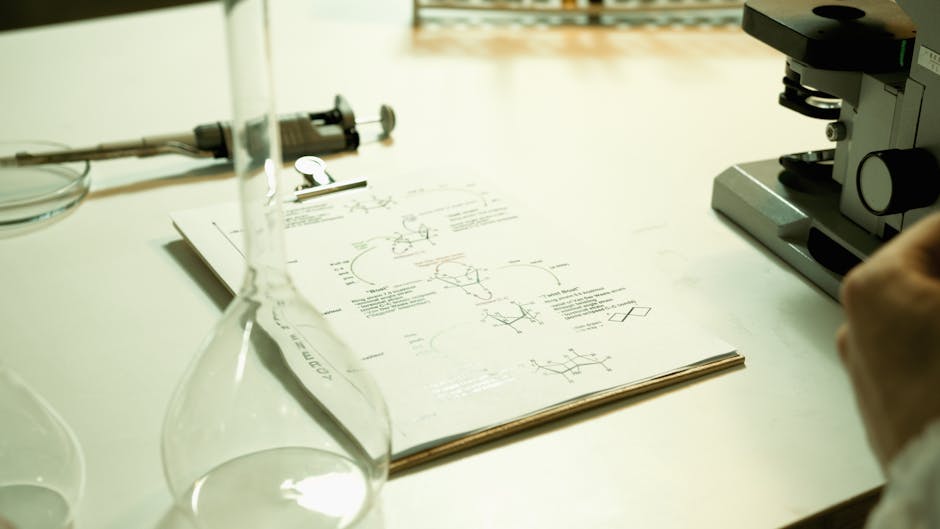 Formule Geometriche del Cerchio: Un Approfondimento sulle Variabili ...